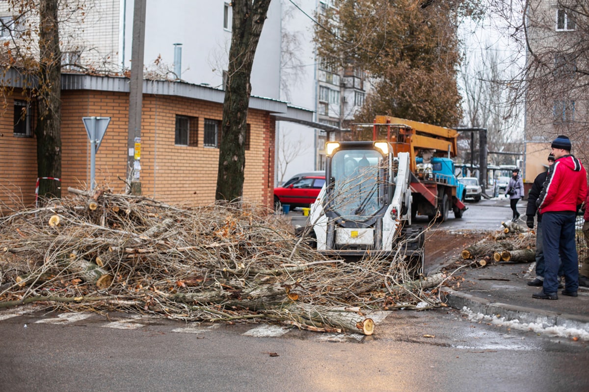 24 Hour Emergency Tree Service Cleveland | CLE Tree Service